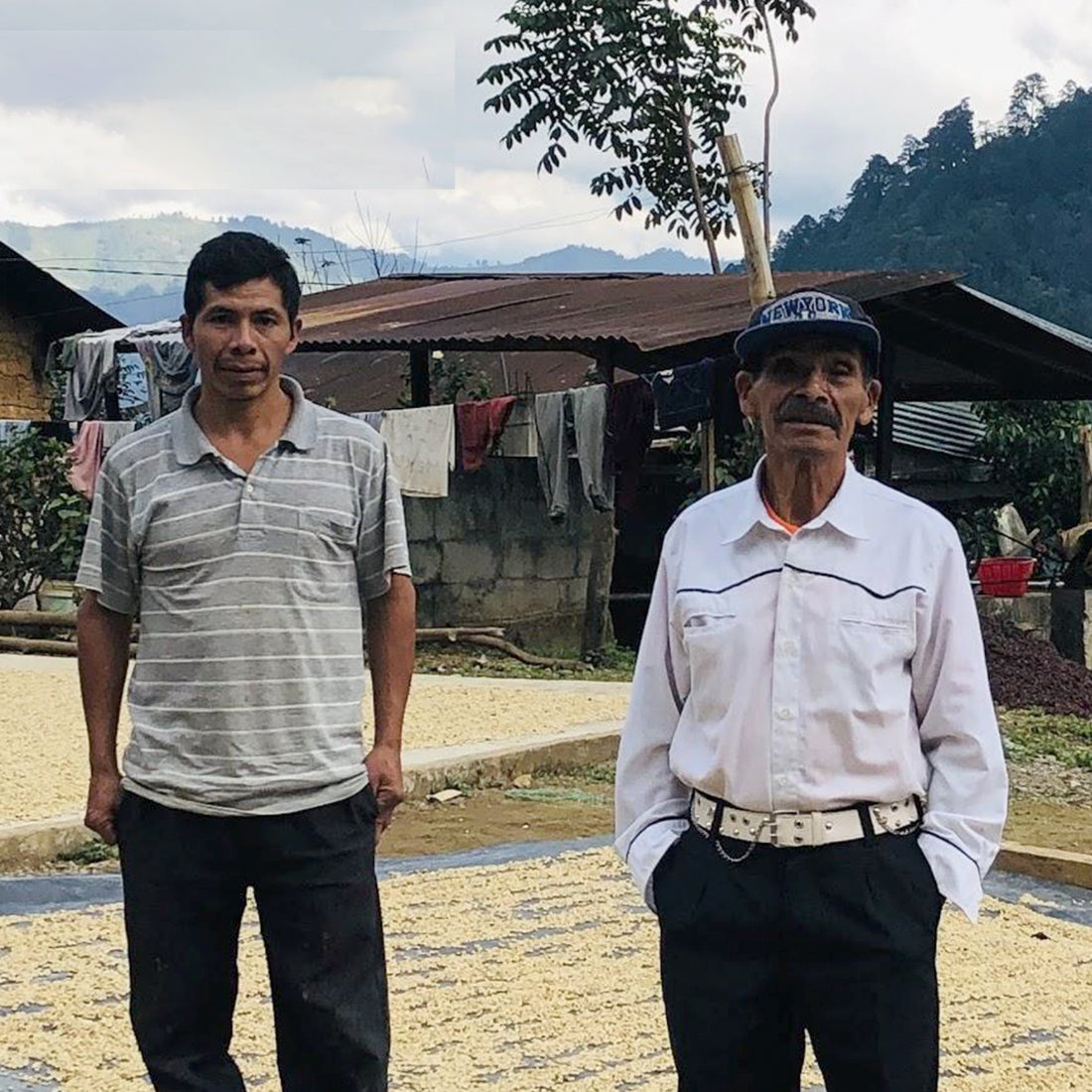 George Howell Coffee