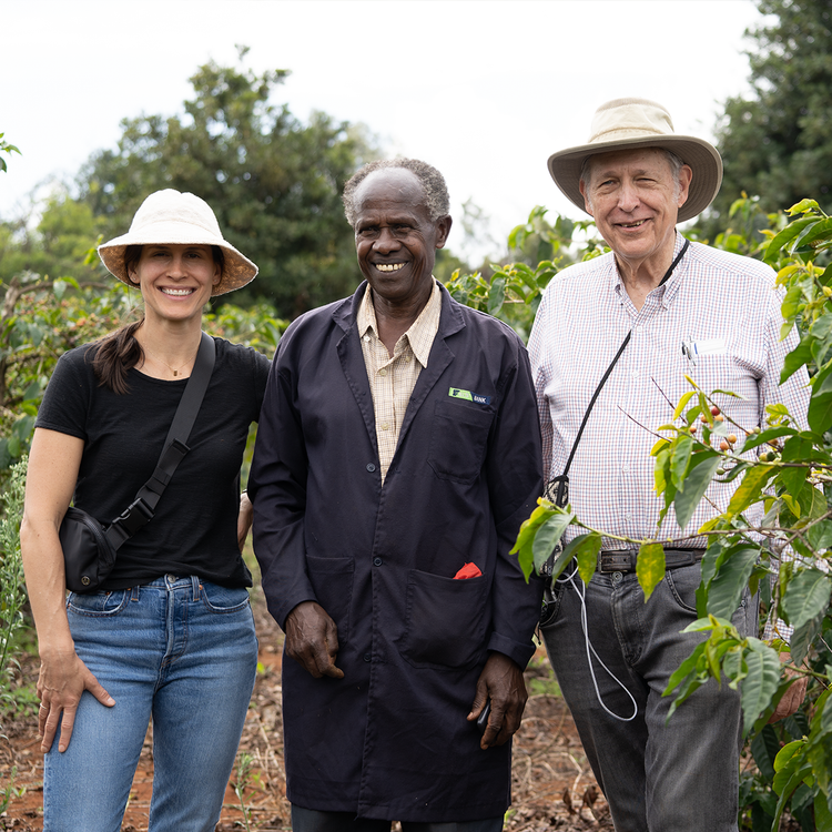 Subscriptions – George Howell Coffee