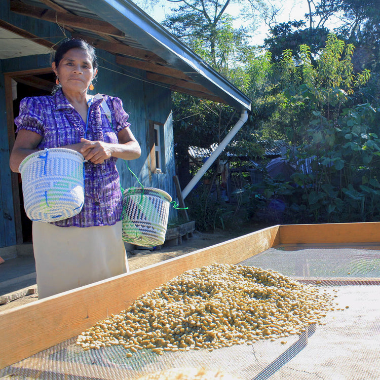 George Howell Coffee