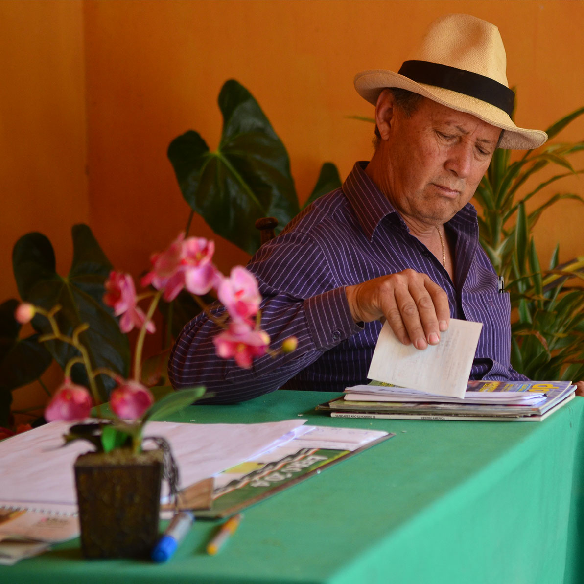 George Howell Coffee